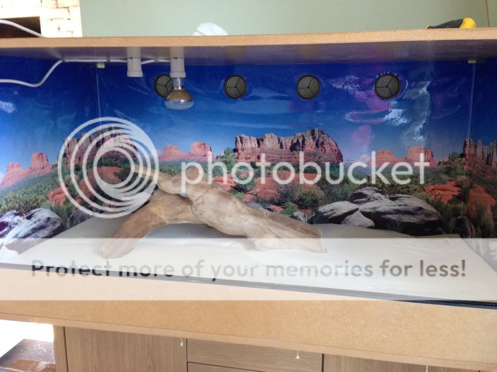 My 1st viv complete build | Reptile Forums