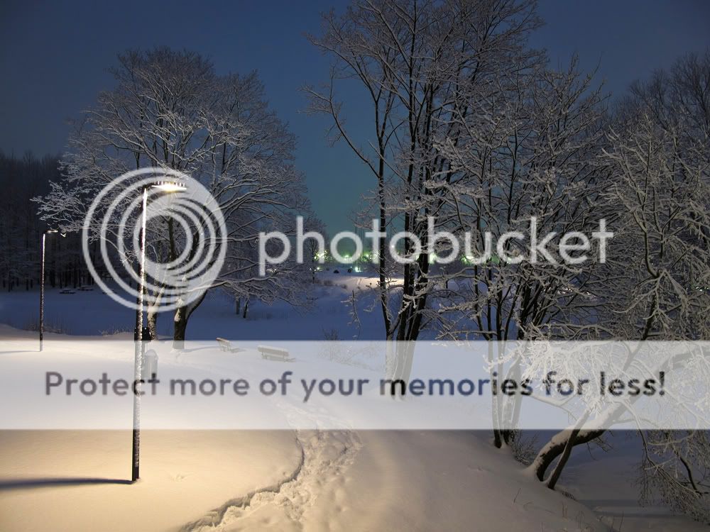 Mevsim Resimleri - Sayfa 42